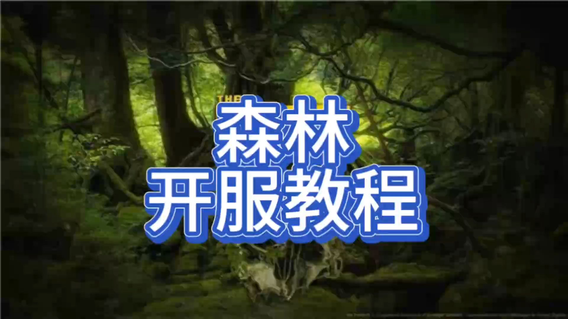 steam森林保姆式开服教程