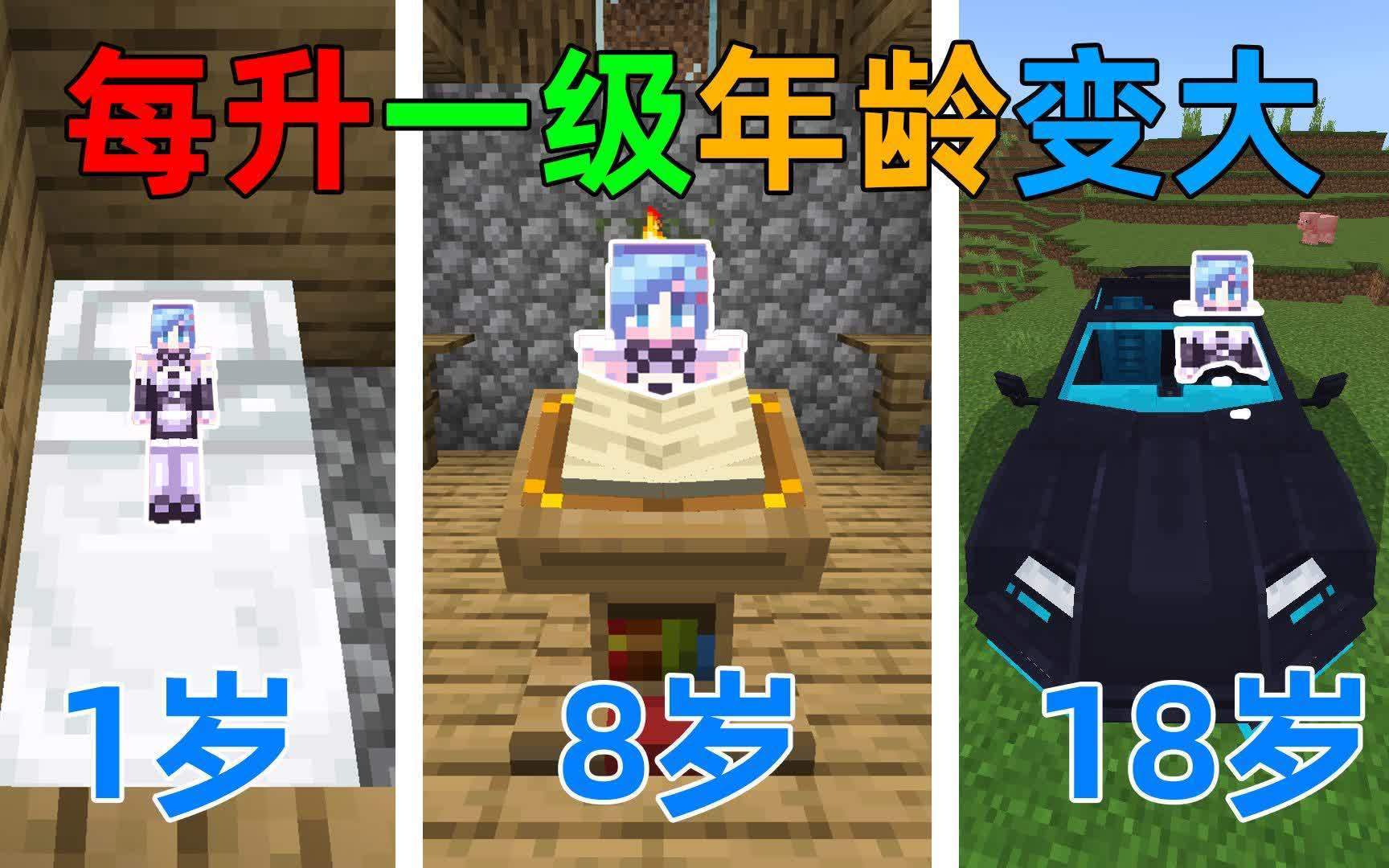MC人生模拟器?开局1岁小婴儿每升一级年龄加一!通过努力改变人生!...