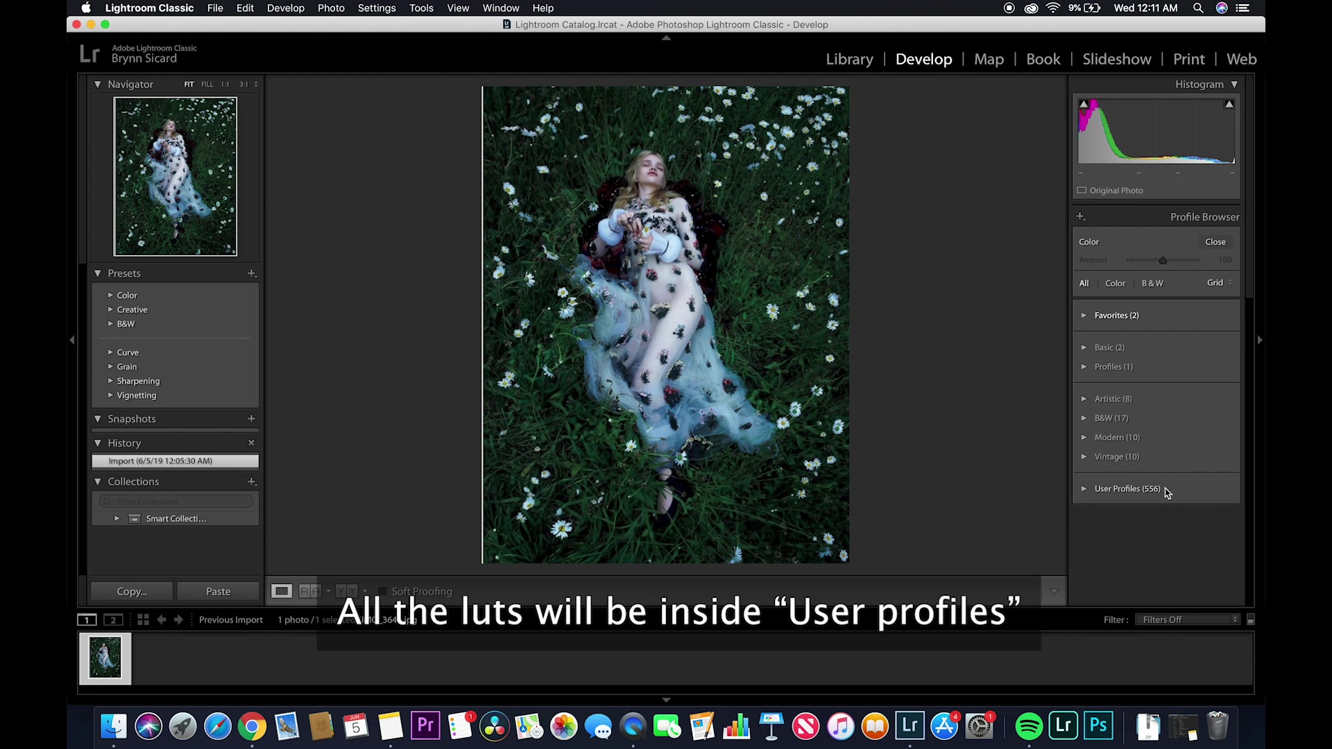 【lr预设】安装使用教程带预设文件