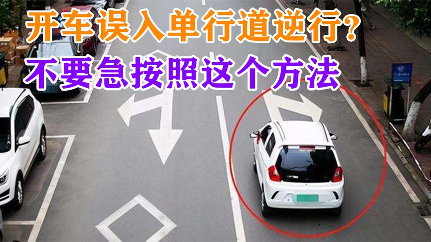 开车误入单行道逆行?老司机:不要慌,按这个方法,不罚款不扣分