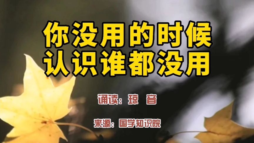 赏读:你没用的时候,认识谁都没用。尽是大实话,分享给大家