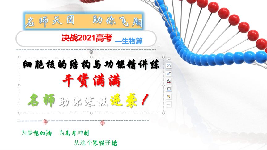 2021年生物高考:细胞核的结构与功能精讲练,名师助你完胜高考