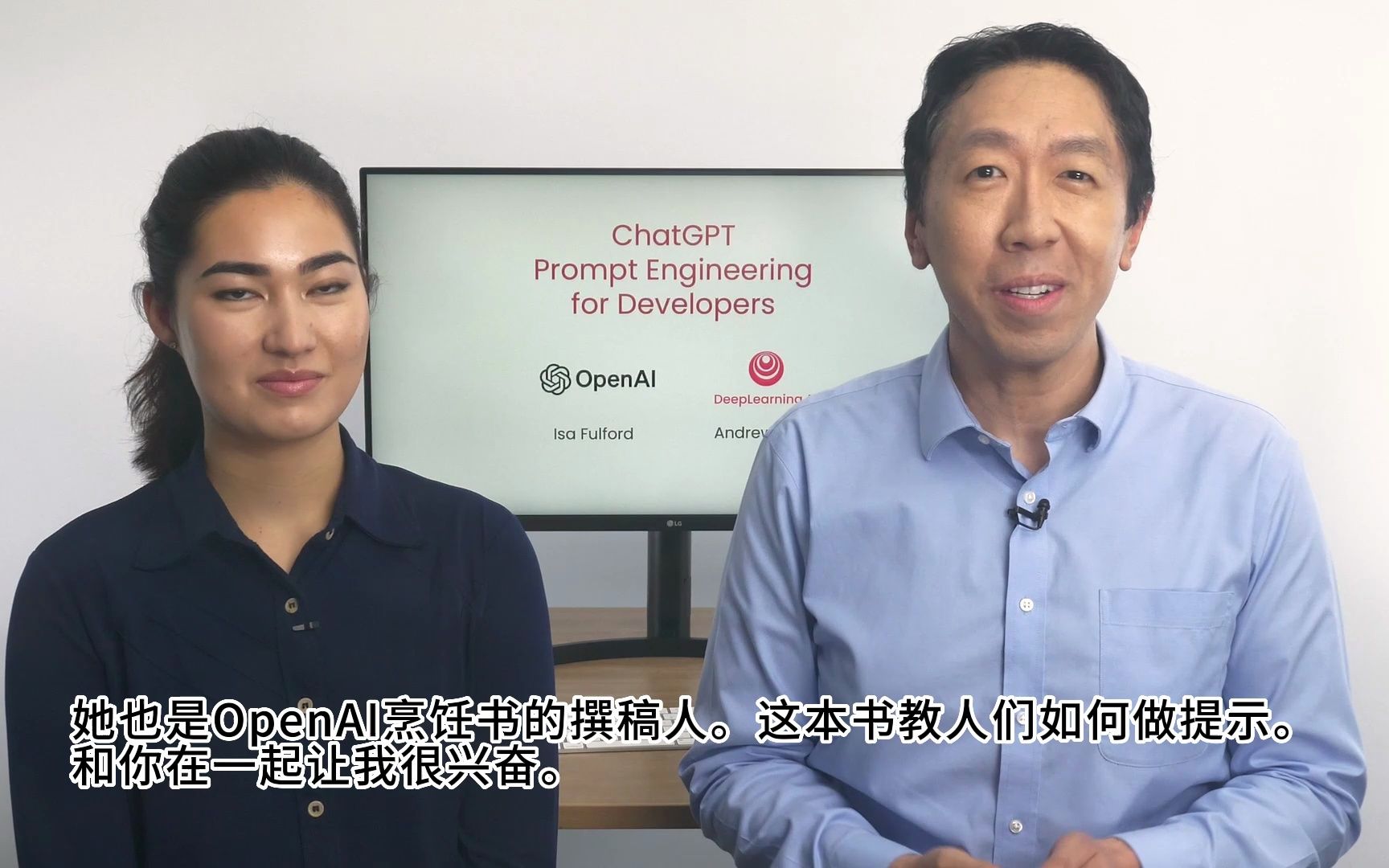 吴恩达&OpenAI 出版的 提示工程教程(带中文字幕)01