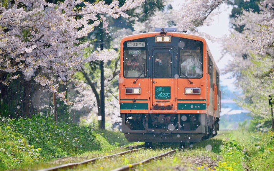 【火车模型】第一视角合集