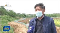 一水双收,“稻虾共生”开启生态种养新模式