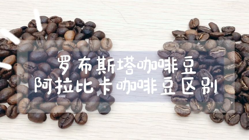中粒种罗布斯塔咖啡豆和小粒种阿拉比卡咖啡豆的区别