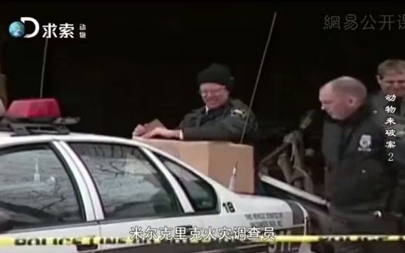 Animal Witness 动物来破案 第二集:火灾与狗