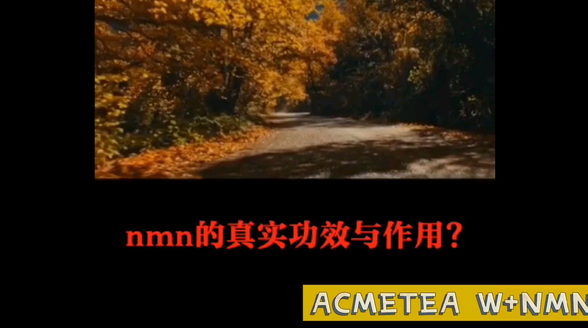 nmn的功效和作用有哪些?我懂了!