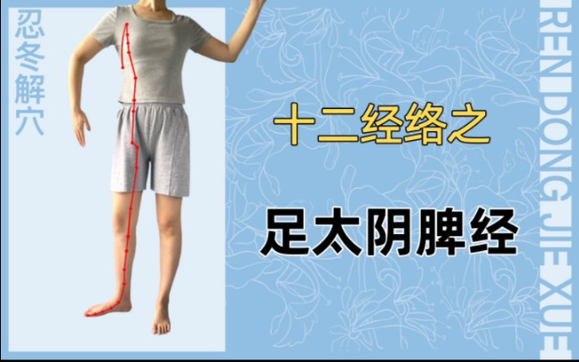 十二正经之足太阴脾经经络
