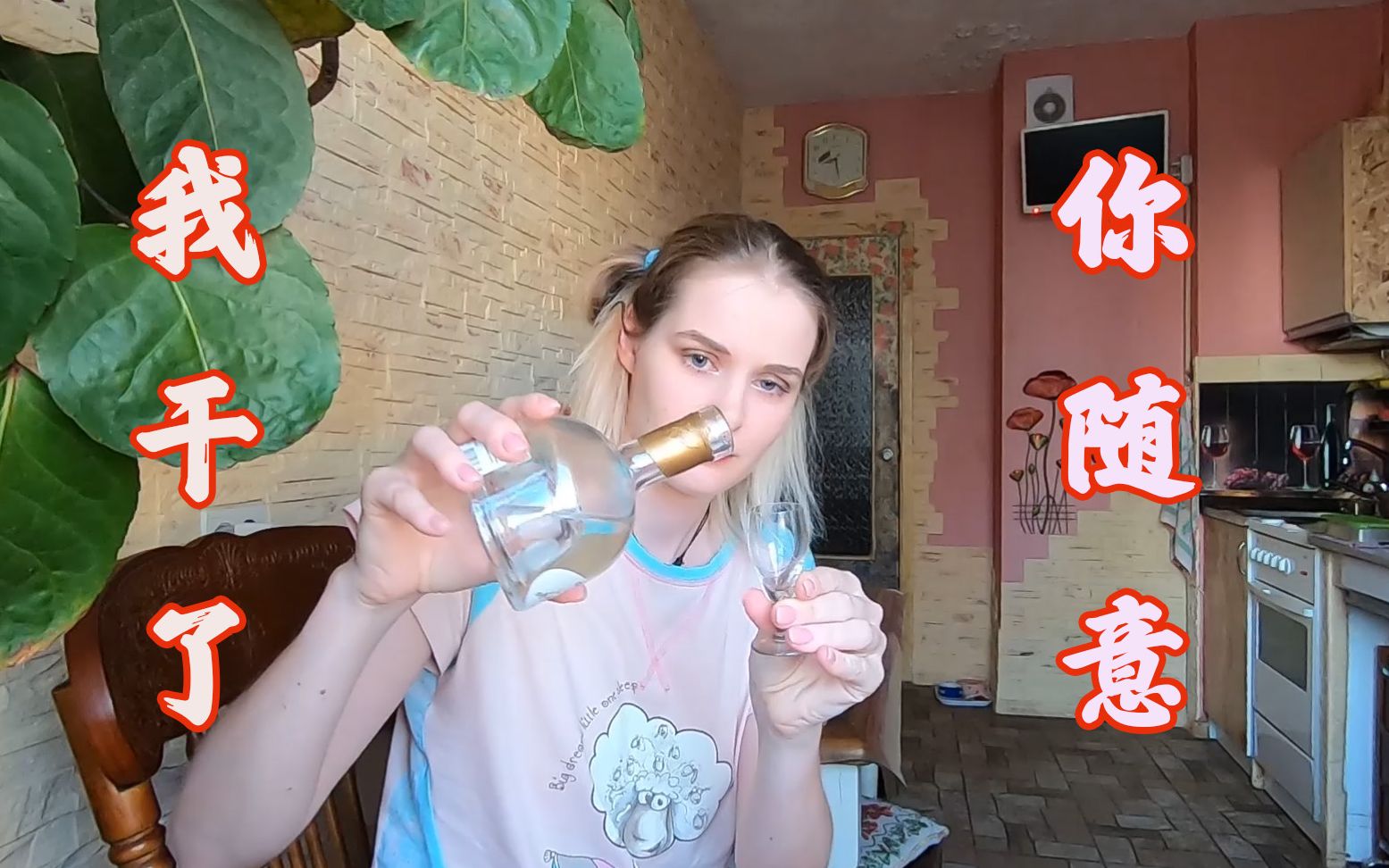 俄罗斯喝酒也说无情哈拉少