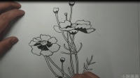 简单好学的线描绘画视频, 教你如何绘制花朵!