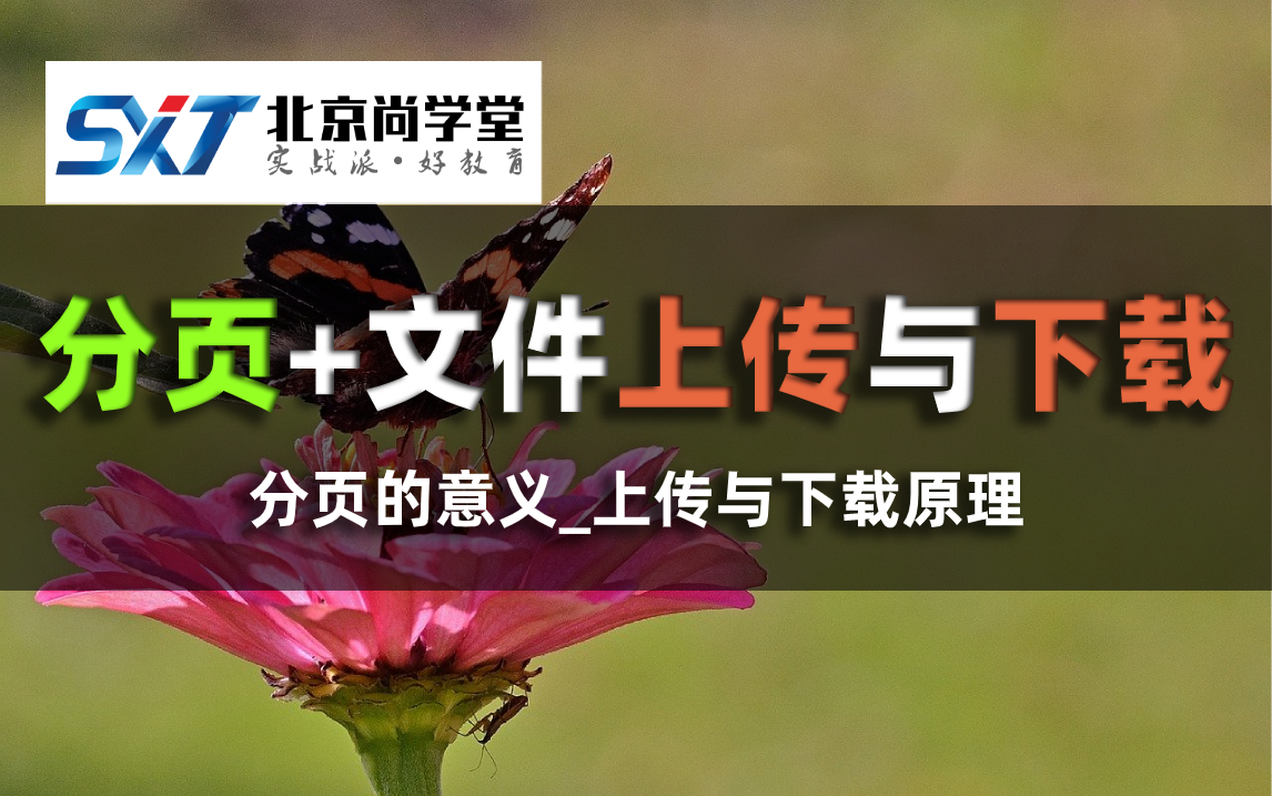 【尚学堂】数据分页与文件上传下载技术与原理_JavaEE企业级应用...