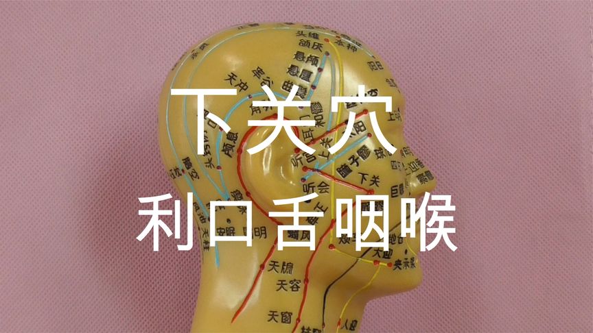 下关穴主治:聤耳有脓汁出,偏风,口目㖞,牙车脱臼,牙龈肿处