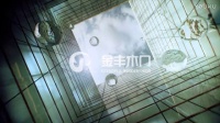 实木门十大品牌:金丰水性漆木门