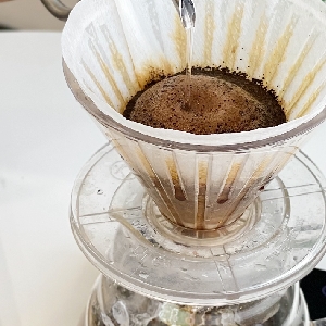 带你了解咖啡的龟 