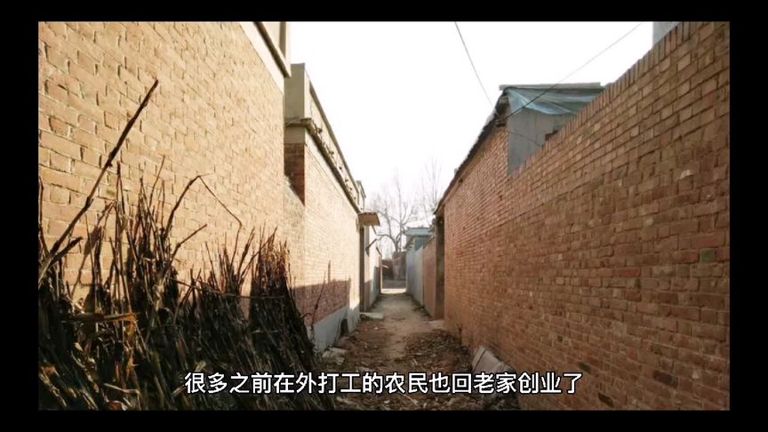 农村干什么容易致富?给你9个创业项目,肯干又能坚持就会赚到钱