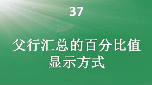 会计Excel技巧37,父行汇总的百分比值显示方式