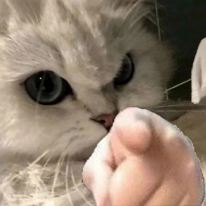 摩尼卡-_- 