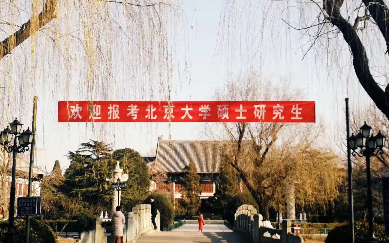 北大2020年916经济学综合真题及考情点评(附评分标准)