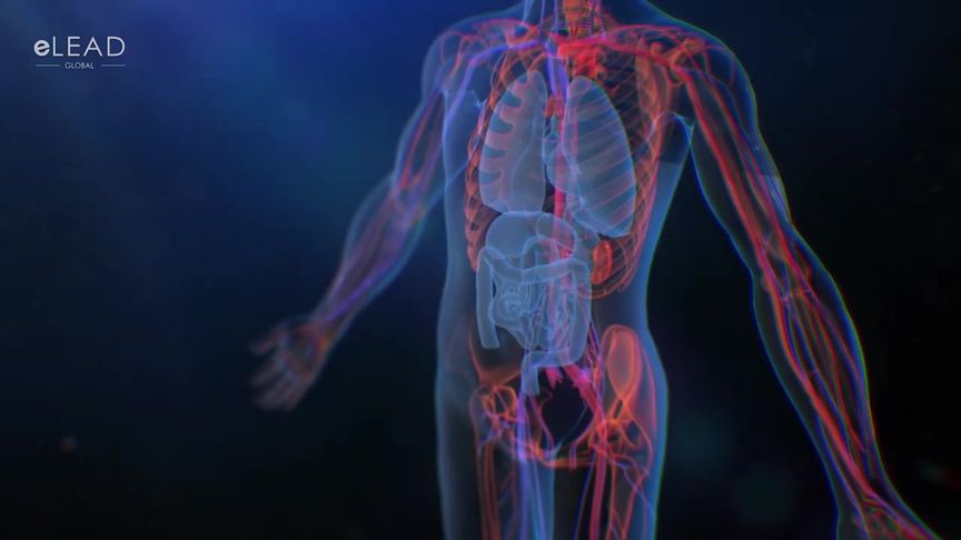 如何杀死新型冠状病毒?认识世上最好的医生-人体免疫系统