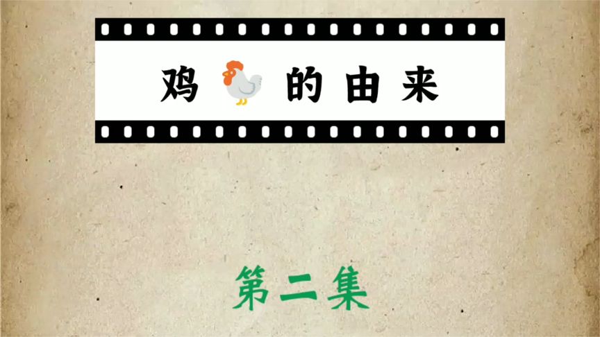 咯咯哒咕咕咕&鸡的由来#民间故事和冷知识