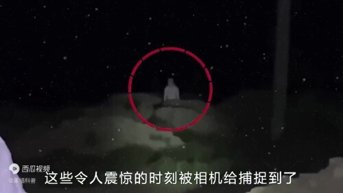 森林中的恐怖生物?一个男人的相机捕捉到的东西震惊了整个世界