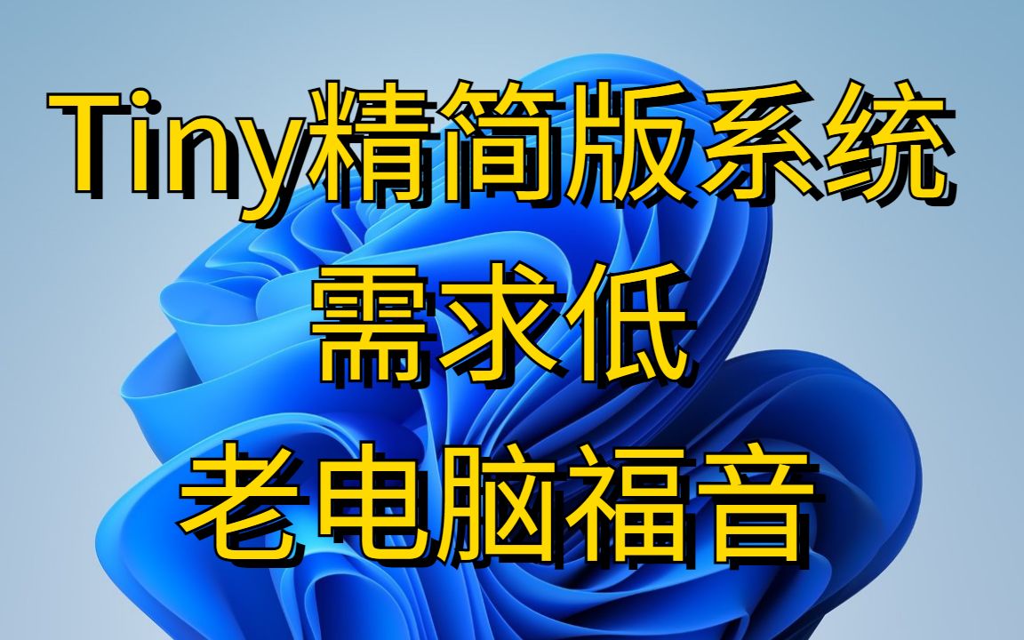 Tiny11精简版系统win11,老电脑福音!