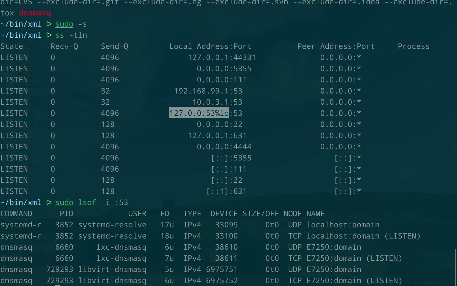 libvirt 网络的底层- dnsmasq 加上 domain search 功能