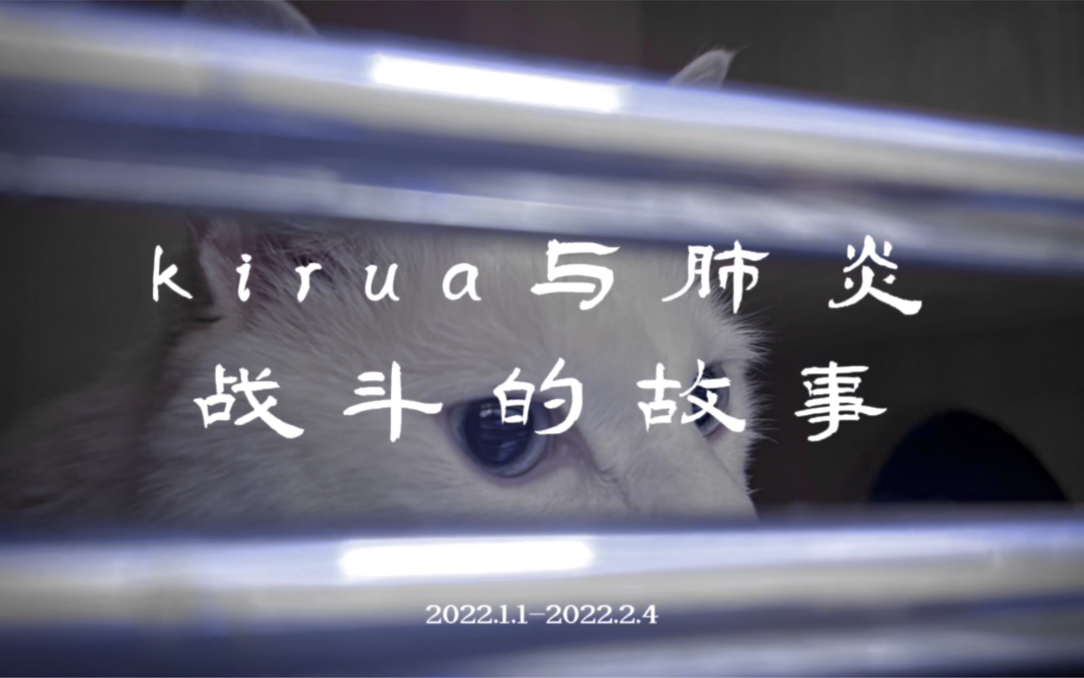 kirua与猫肺炎战斗的故事