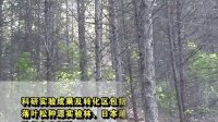 大孤家国家级林木良种繁育中心