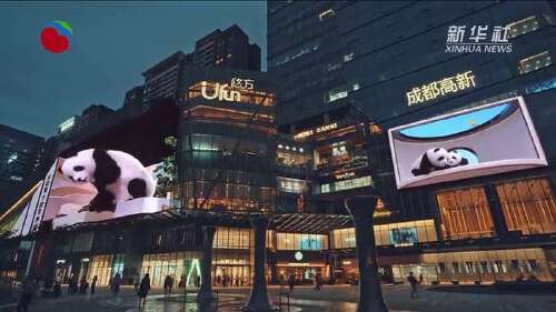 成都裸眼3D大熊猫上新动效
