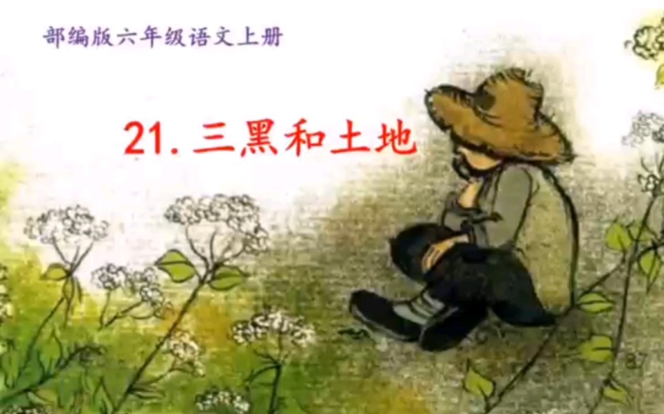 ppt课件||六上语文:21《三黑和土地》