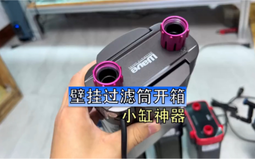 小鱼缸,养小鱼,用个小小的过滤器问题不大,市面上常见的过滤形式我都...