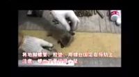 青岛民用家用电动伸缩门价格【红门】