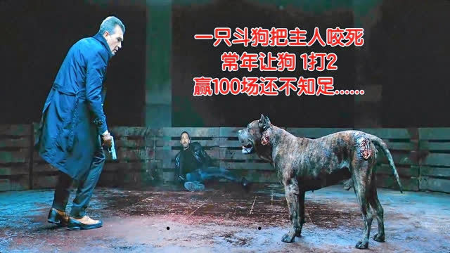 ...b>斗狗把主人咬死
