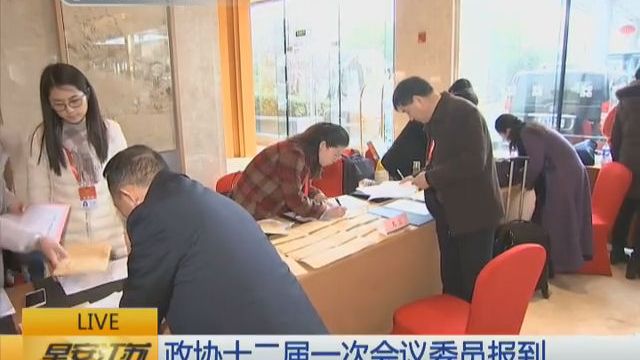 政协十二届一次会议委员报道
