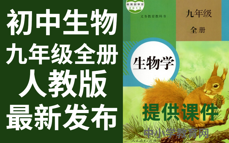 初中生物九年级总复习人教版生物九年级总复习生物