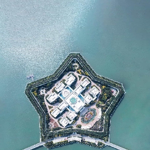 柳星在天南 