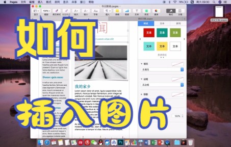【pages技巧】今天教你pages软件插入图片并编辑文章