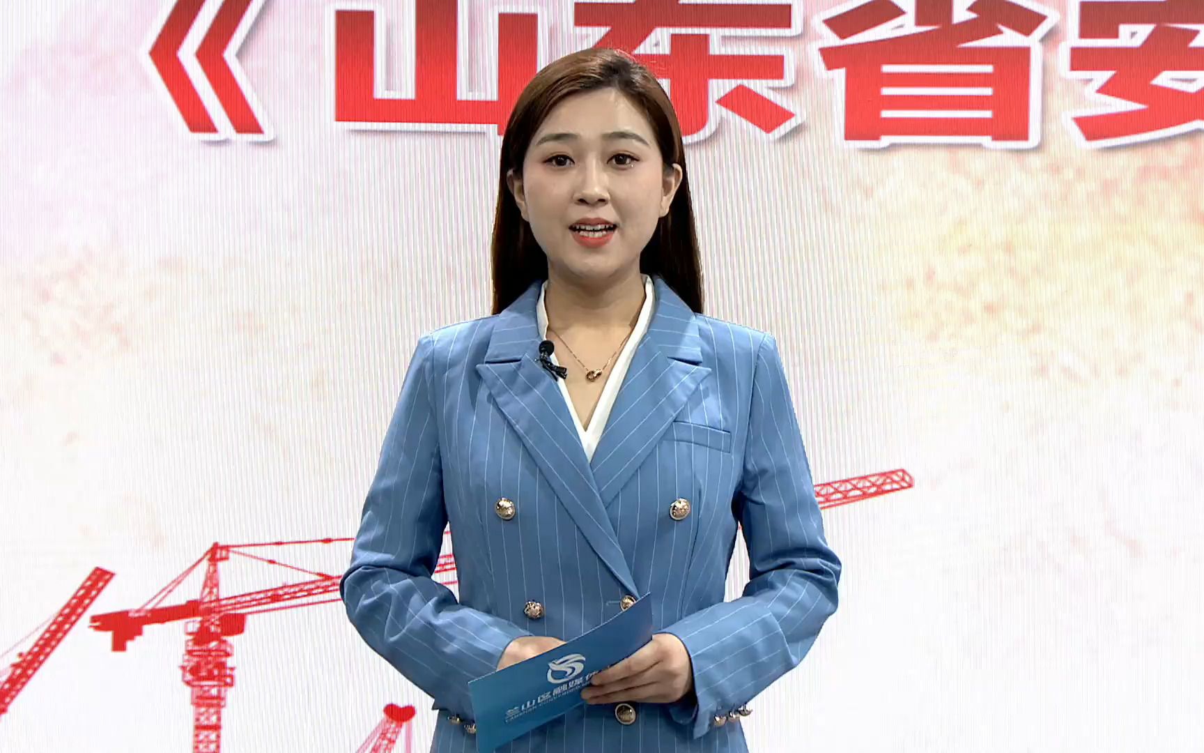 《山东省安全生产行政责任制规定》、《山东省生产安全事故隐患排查...