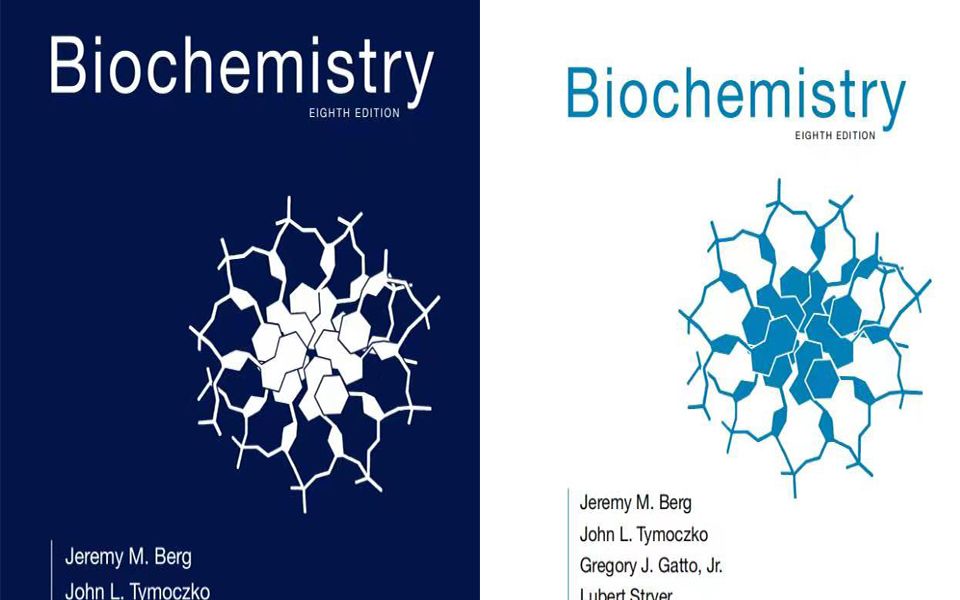 【Biochemistry】从零自学生物化学:DNA、RNA与遗传信息(五)