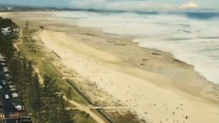 大海啸,鲨口逃生