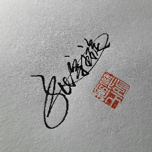 玄羽张张 