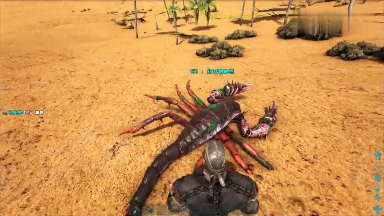 方舟生存进化 新仙境传说 12 暗墨半仙沙漠大战蝎子