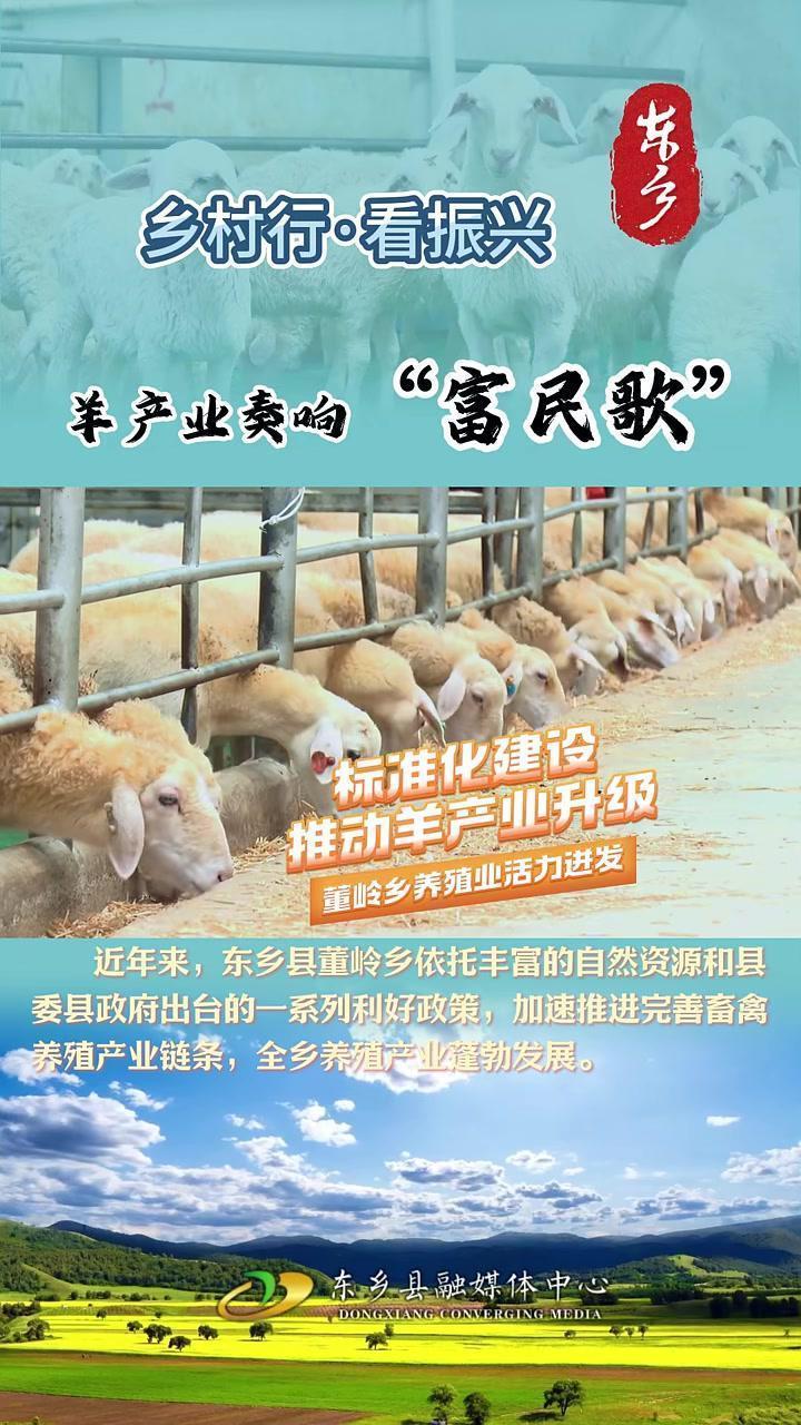 ...#养产业奏响"富民歌"标准化建设推动羊产业升级董岭乡养殖业活力...