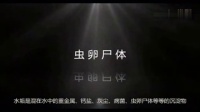 谷奇开水过滤器疯魔全球