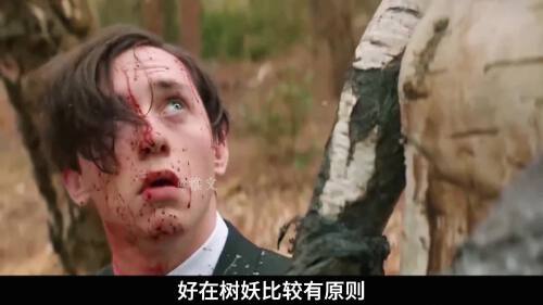 长相极其残忍的白桦树,当你的守护神你敢要吗?