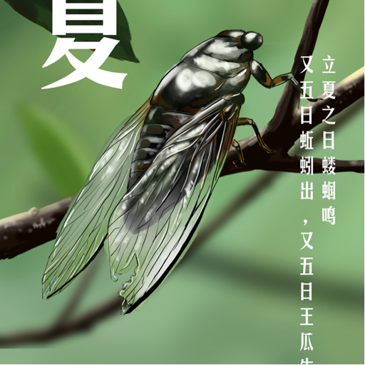 衣服就很烦很好 