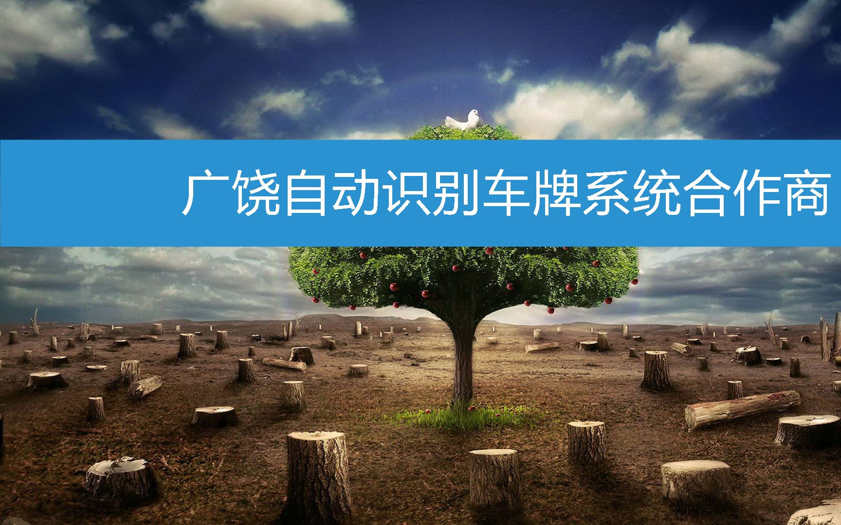 广饶自动识别车牌系统合作商 (2023年2月19日9时8分已更新)