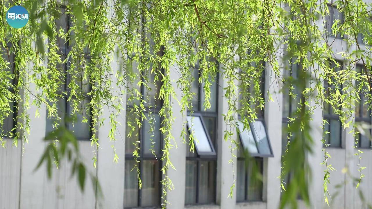 文创如何成为文化传承的载体?旭润斋给出了答案